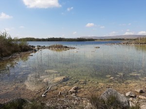 Overview of County Mayo – Birdwatch Mayo